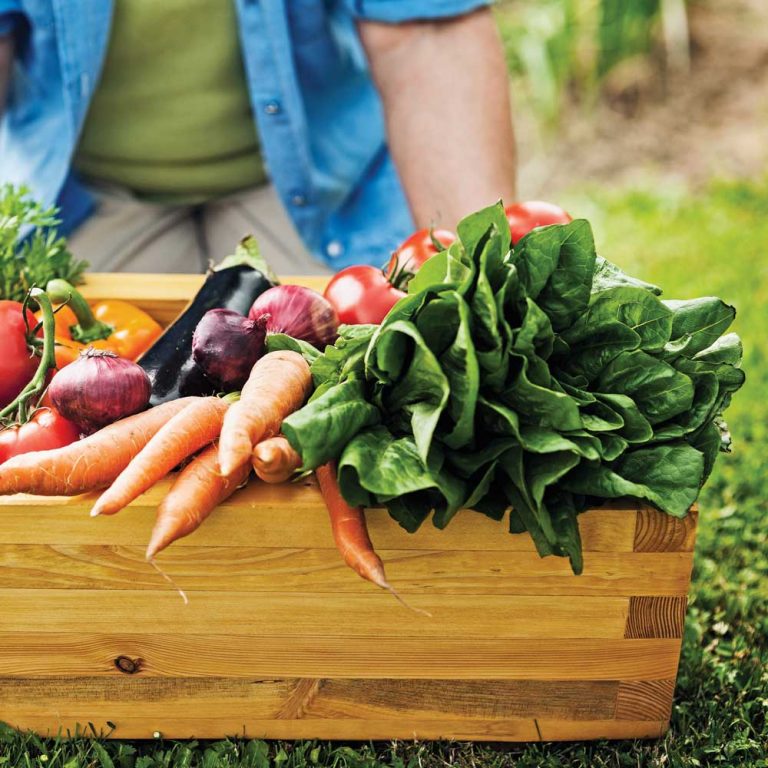 Pesticides: les aliments les plus contaminés - 5 ingredients 15 minutes