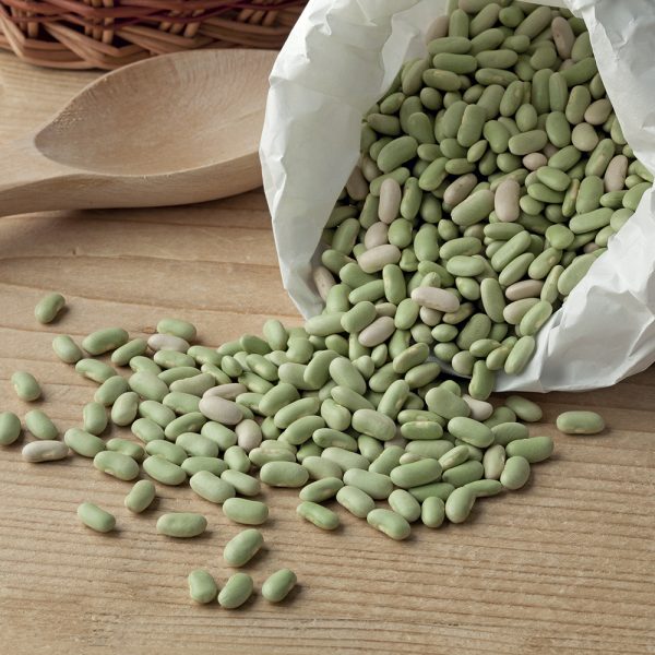 Zoom sur de nouveaux aliments - 5 ingredients 15 minutes