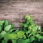 10 trucs pour prolonger la durée de vie des fruits et légumes - 5 ...