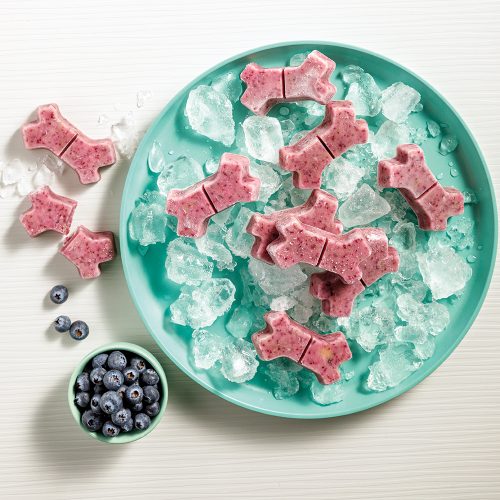 Friandises glacées aux bleuets pour chiens - 5 ingredients 15 minutes