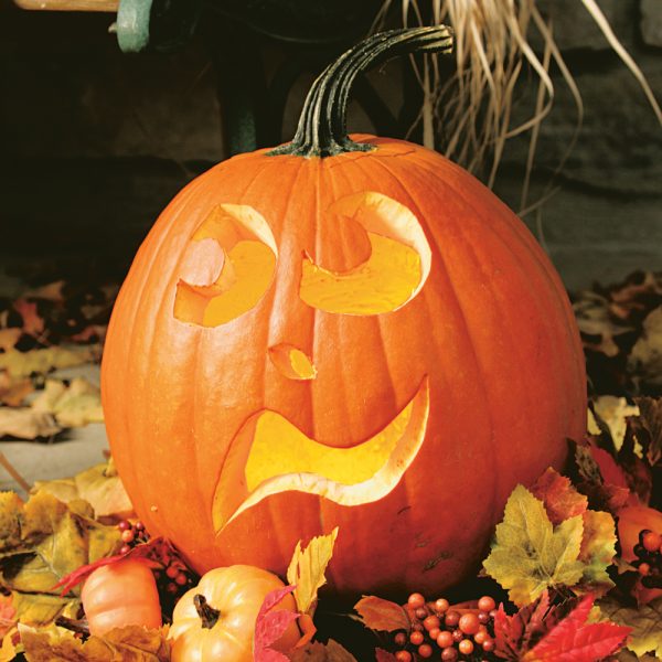 Citrouille étonnée - Je Décore