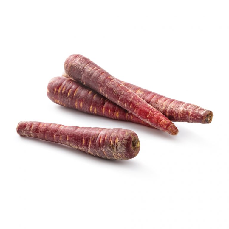 Carotte violette - Je Jardine