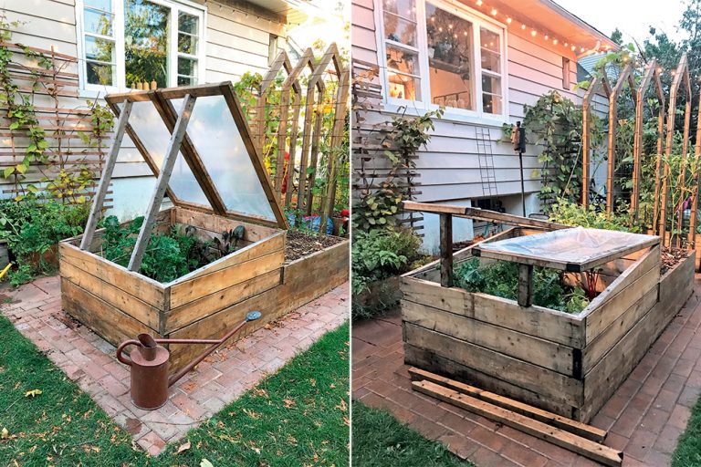 Comment amener à maturité les légumes qui aiment le froid - Je Jardine